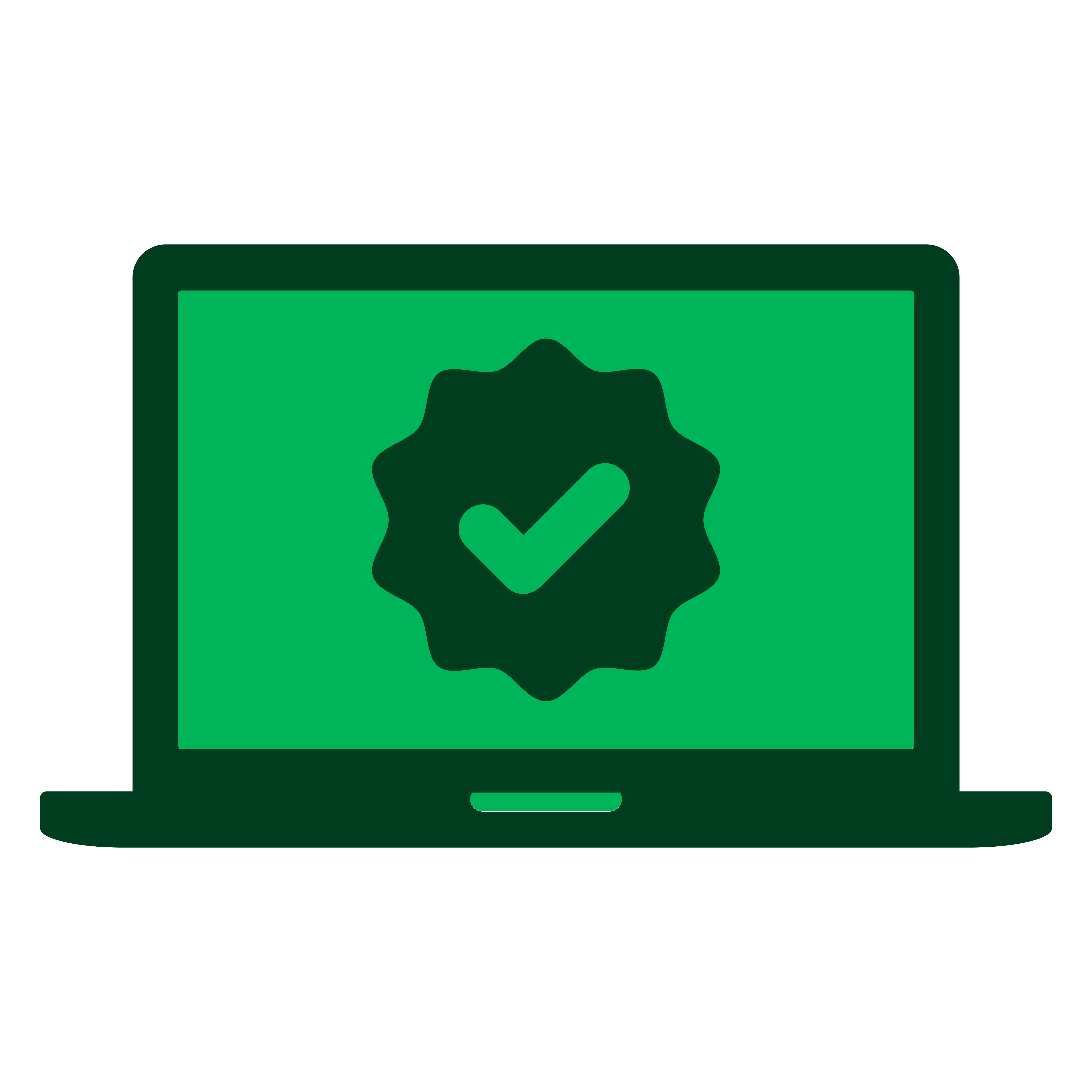 Itworks Icon