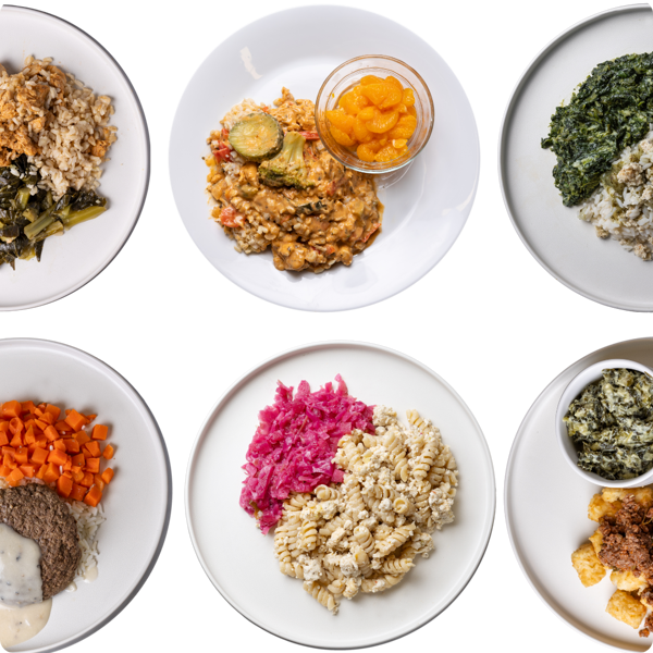 What is mechanical soft? Mechanical Soft Meals Atlanta